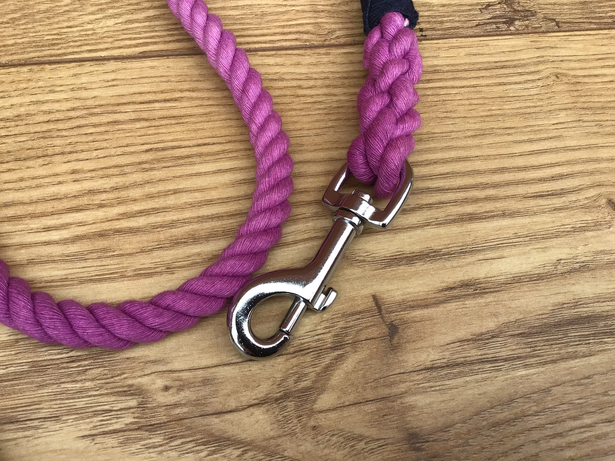 Purple ombré Rope Lead – DOG & Coast