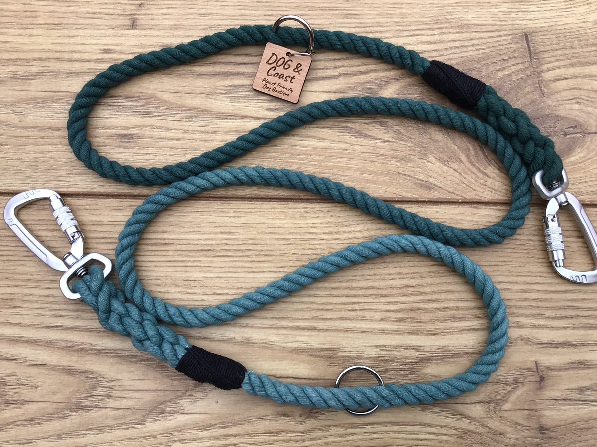 Green Ombré Double Ended Training Rope Lead – DOG & Coast