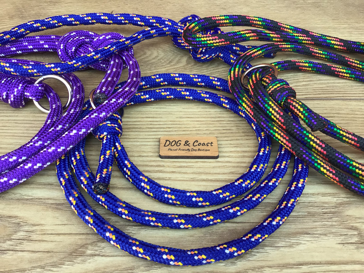 Purple Rope Slip Lead – DOG & Coast
