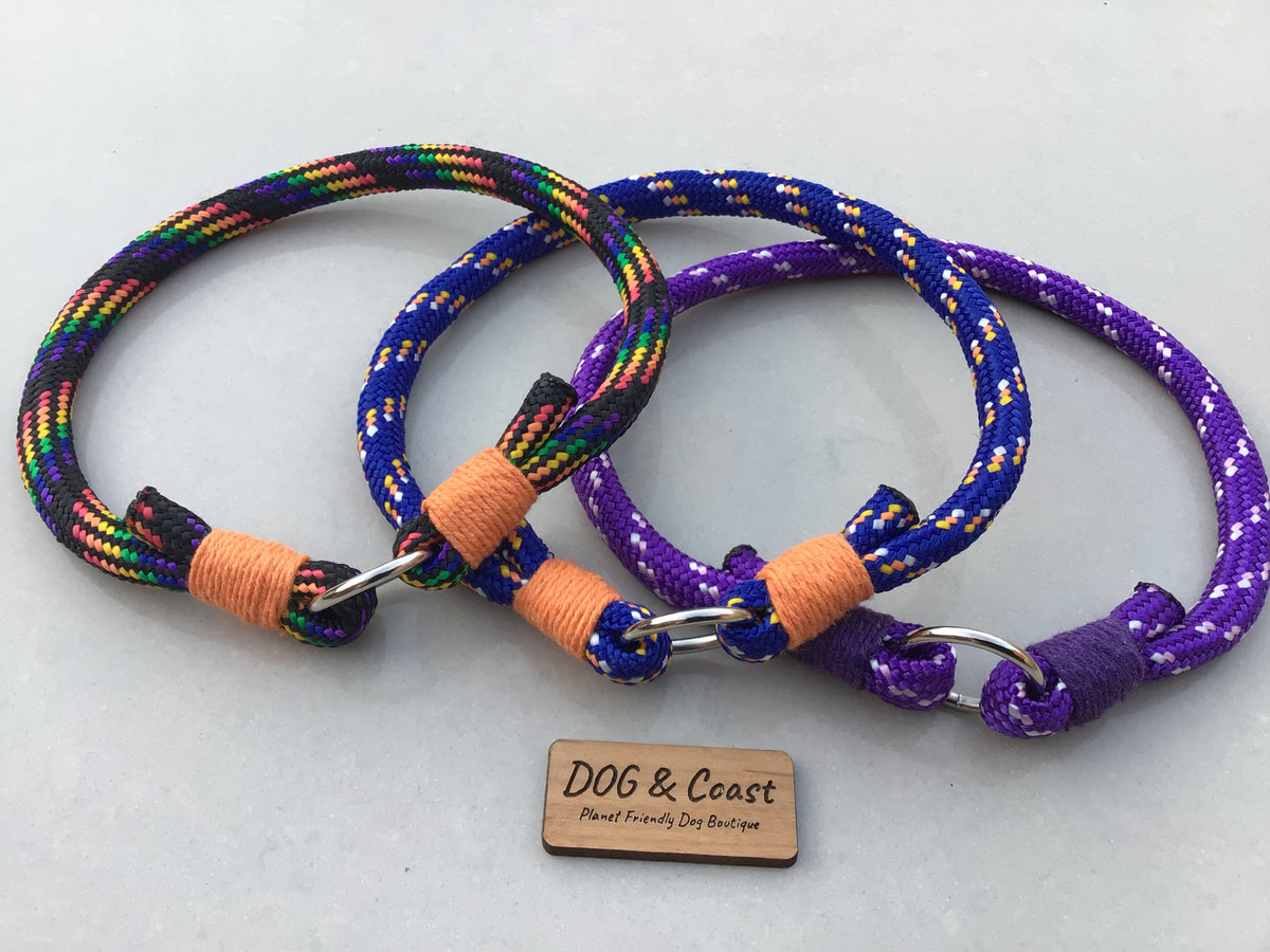 Rainbow PPM ID Rope Collar – DOG & Coast